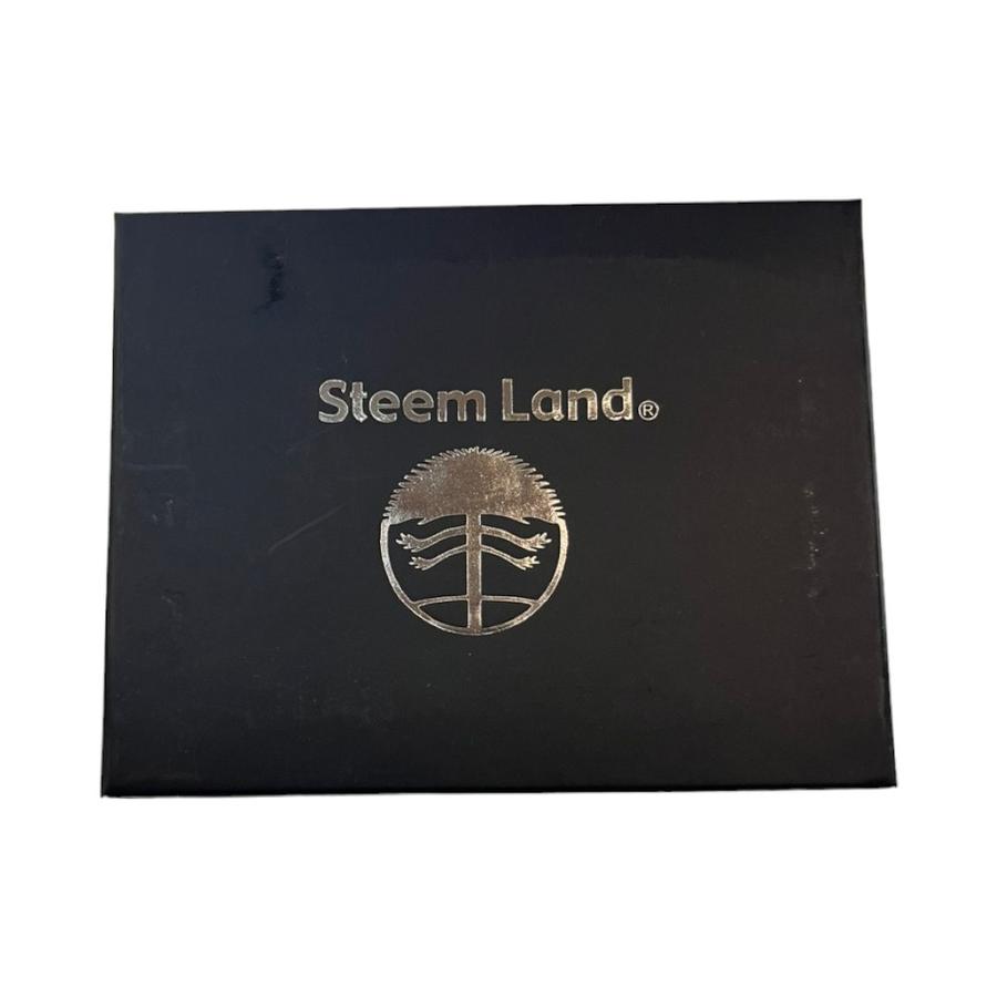 Billetera Hombre Steem Land Vittorio Negro - dimarsa